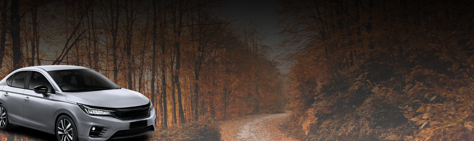 Corporate America Family Credit Union | CAFCU